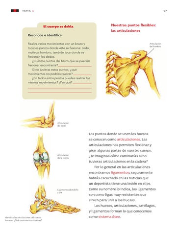 Ciencias Naturales 3er. Grado by Rarámuri - Issuu