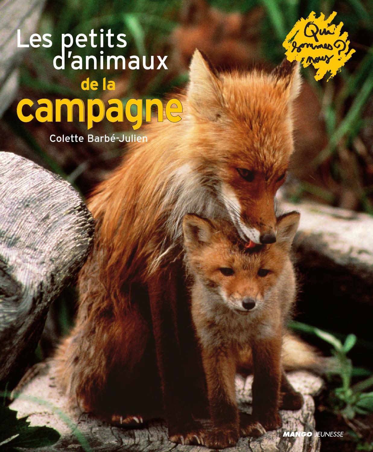 Qsn animaux de la campagne by Fleurus Editions - Issuu