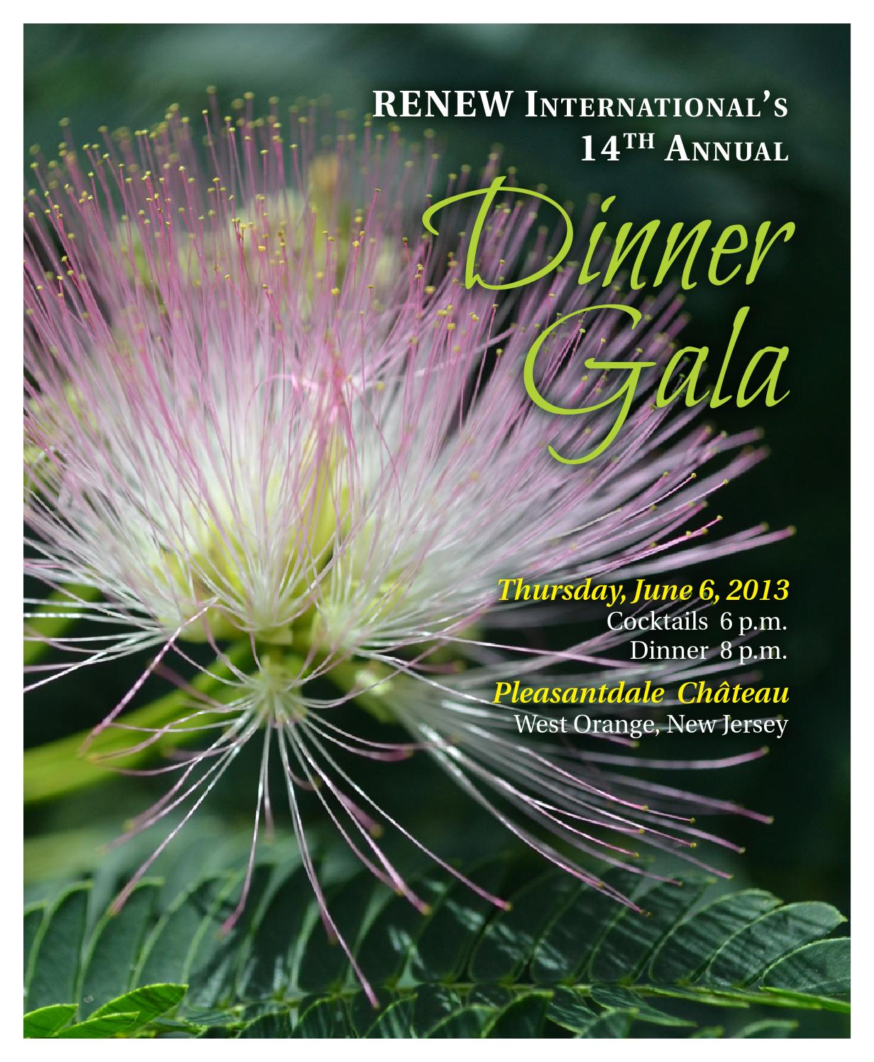 2013 06 06 gala journal by RENEW International - Issuu