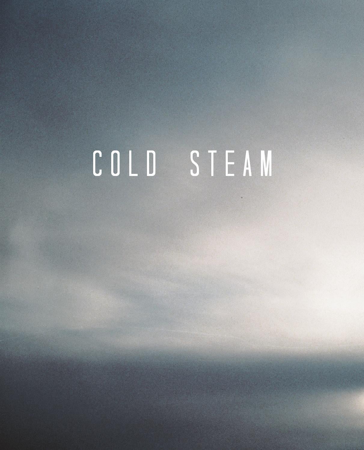 Cold steam by Kuba Rodziewicz - Issuu
