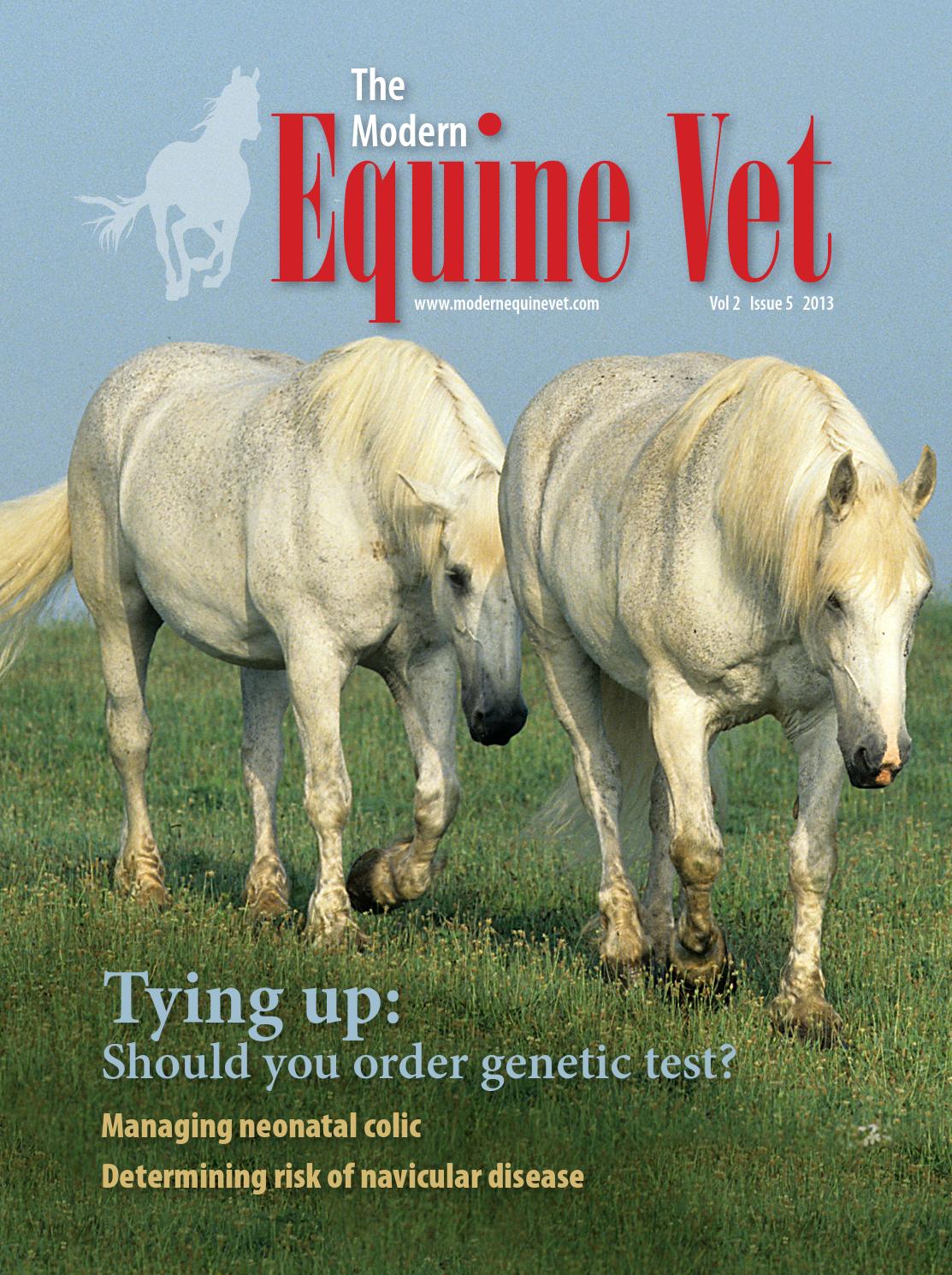 ModernEquineVet Vol2No5 by The Modern Equine Vet - Issuu