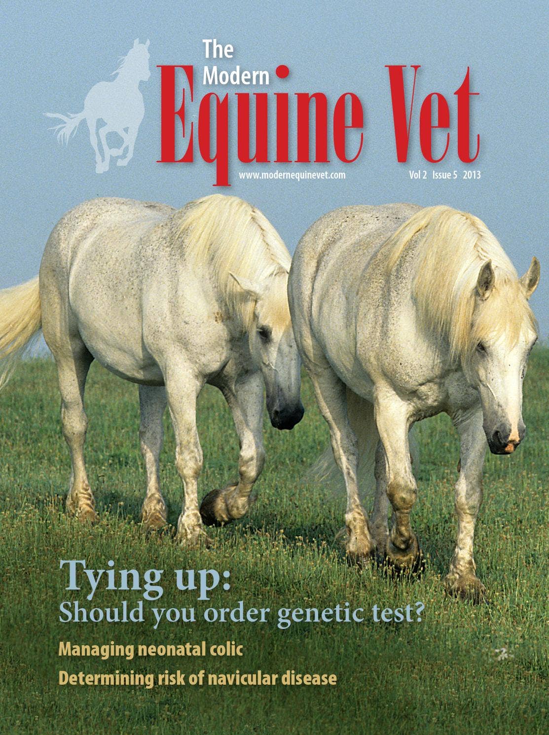 ModernEquineVet Vol2No5 by The Modern Equine Vet - Issuu