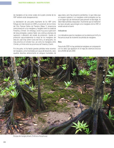Plan de Conservación para los Humedales de la Bahía de Panamá by ...
