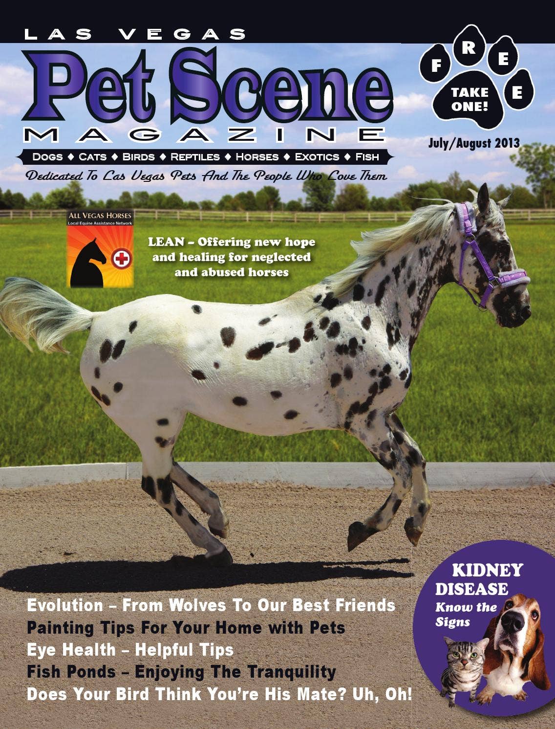 Las Vegas Pet Scene Magazine - July/August by Homes Illustrated/LV Pet ...