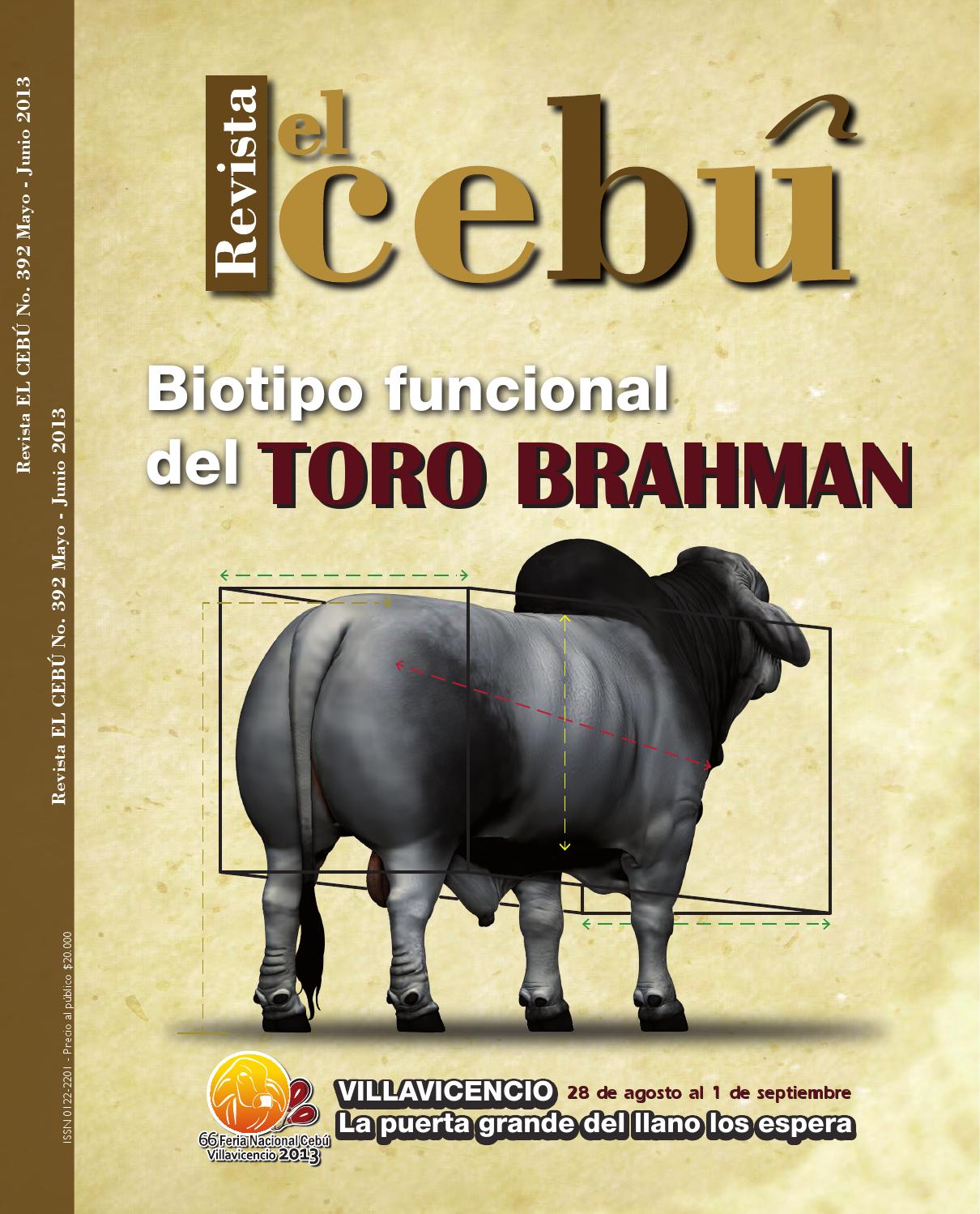 Revista El Cebú # 392 by ACCGC - Issuu