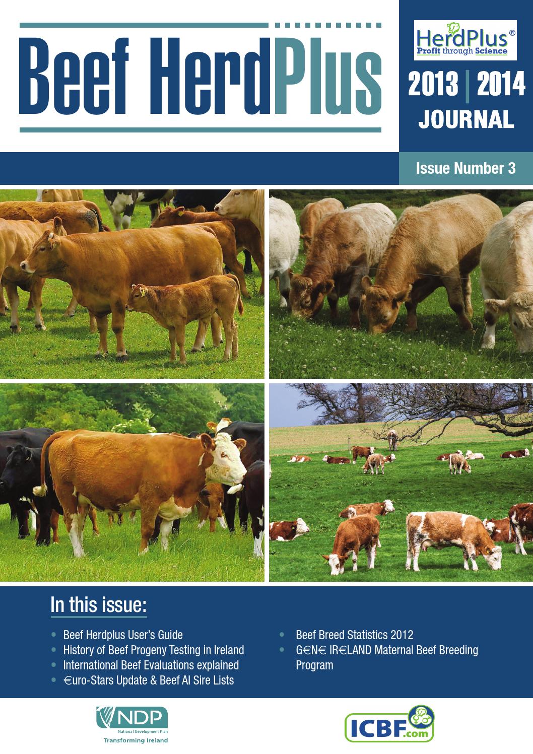Beef Herdplus Journal 2013 by ICBF - Issuu