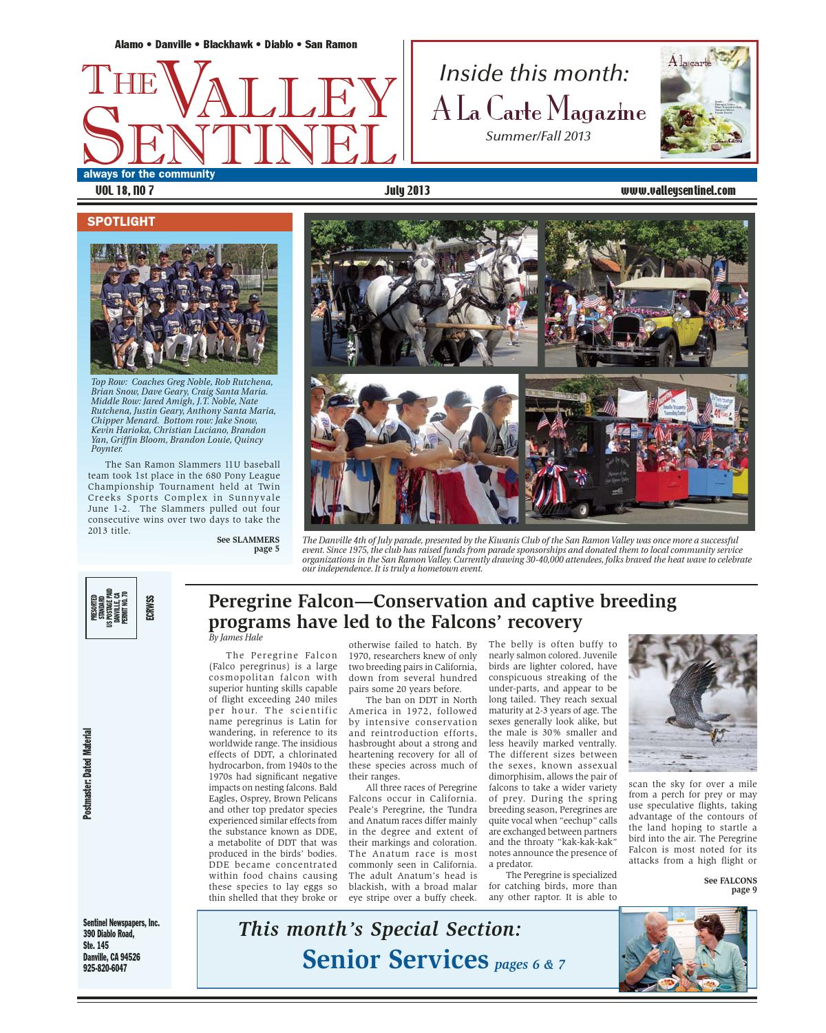 The Valley Sentinel_July 2013 by Sentinel Newspapers - Issuu