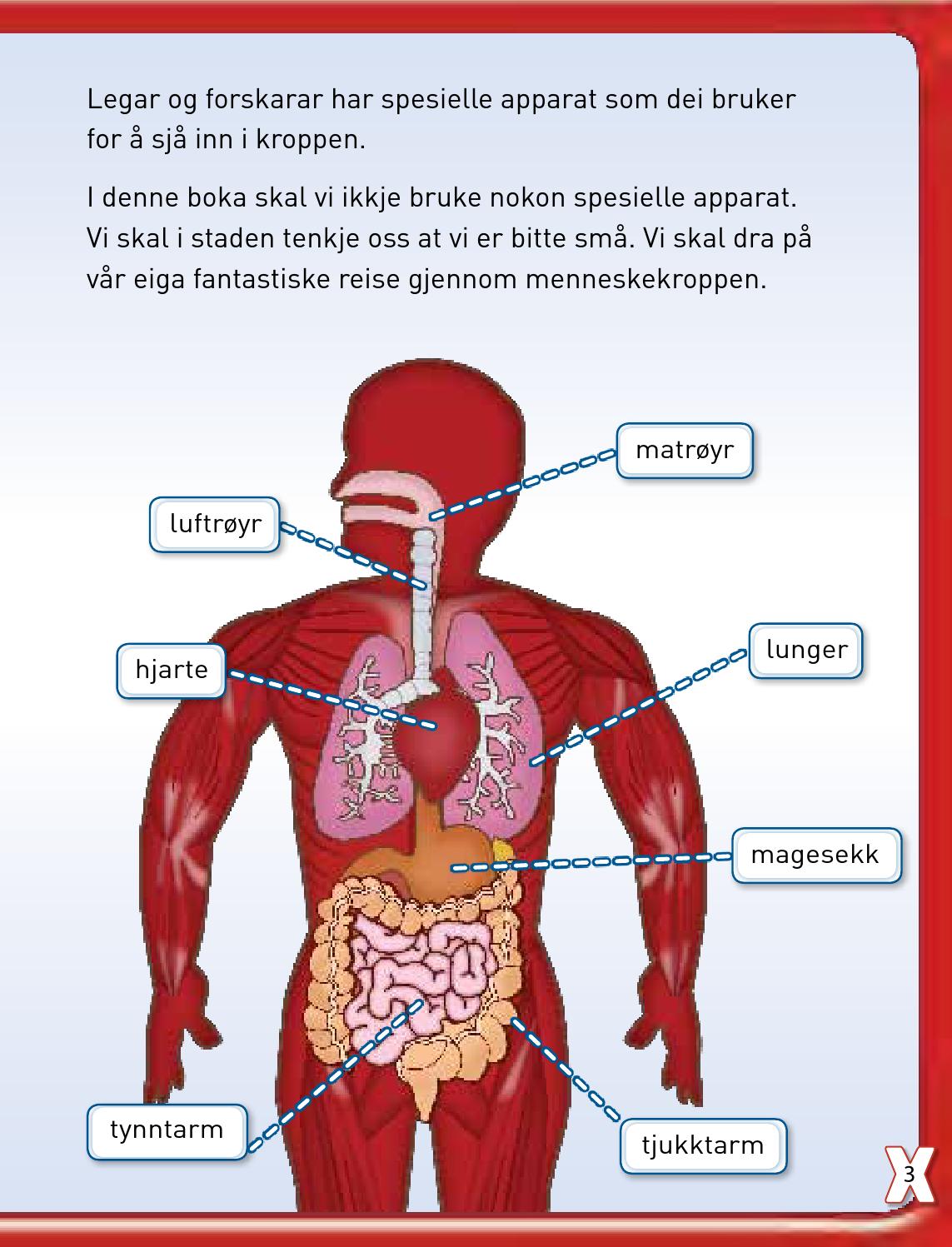 Prosjekt X Fakta. På oppdagingsferd i kroppen NN by Aschehoug - Issuu