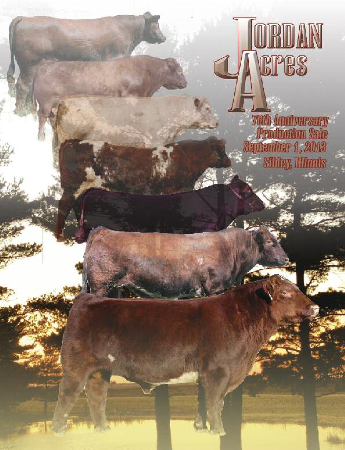 Jordan Acres Catalog by SCI - Stephanie Cronin, INC - Issuu