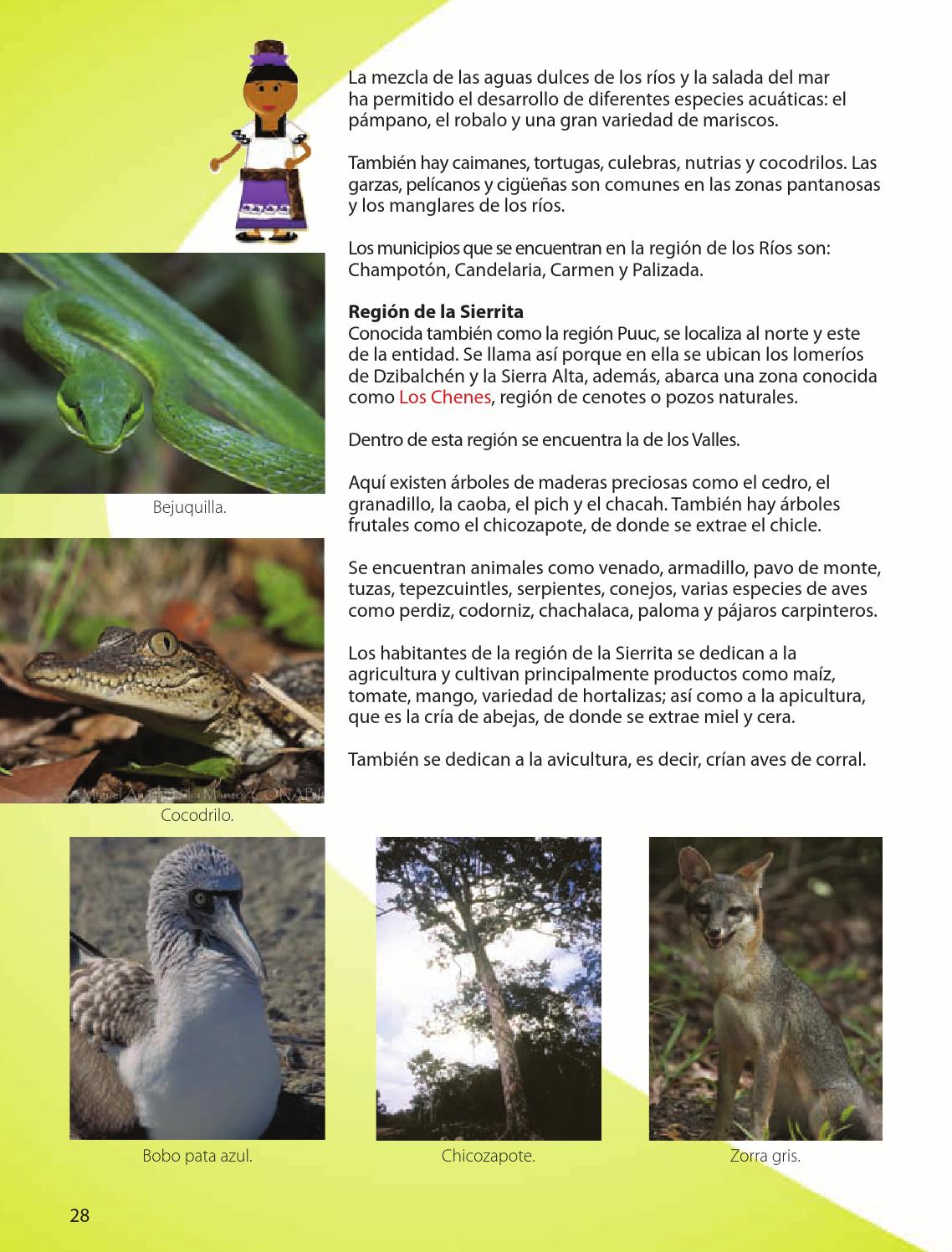 La entidad donde vivo Campeche by Rarámuri - Issuu