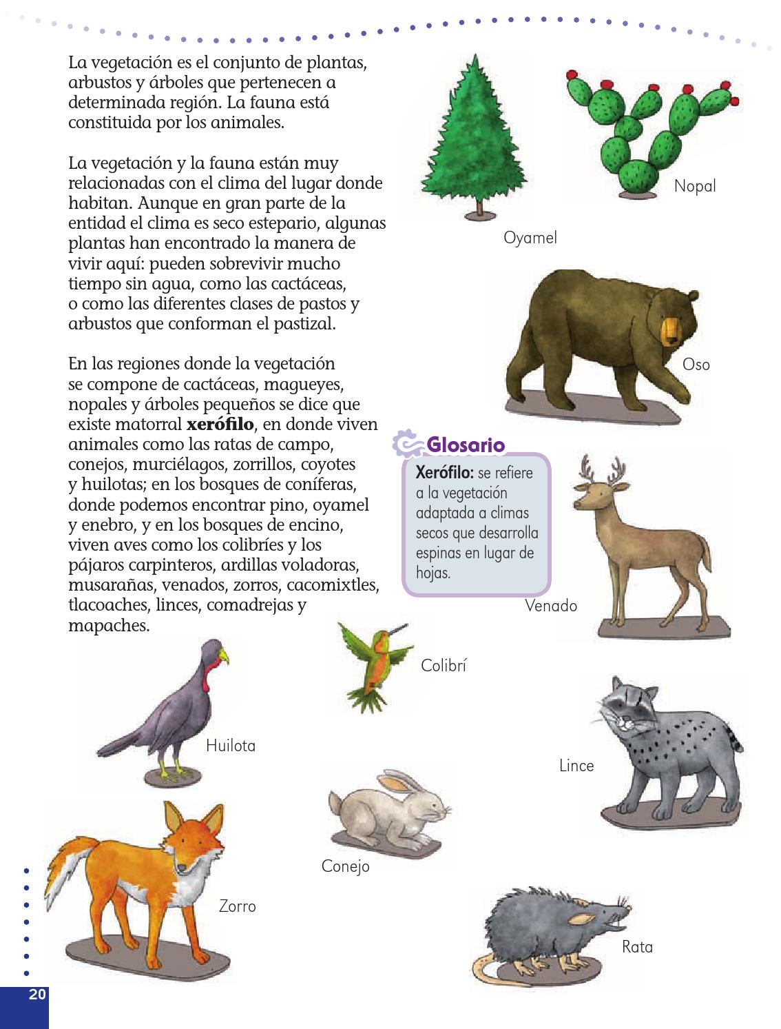 La entidad donde vivo Queretaro by Rarámuri - Issuu