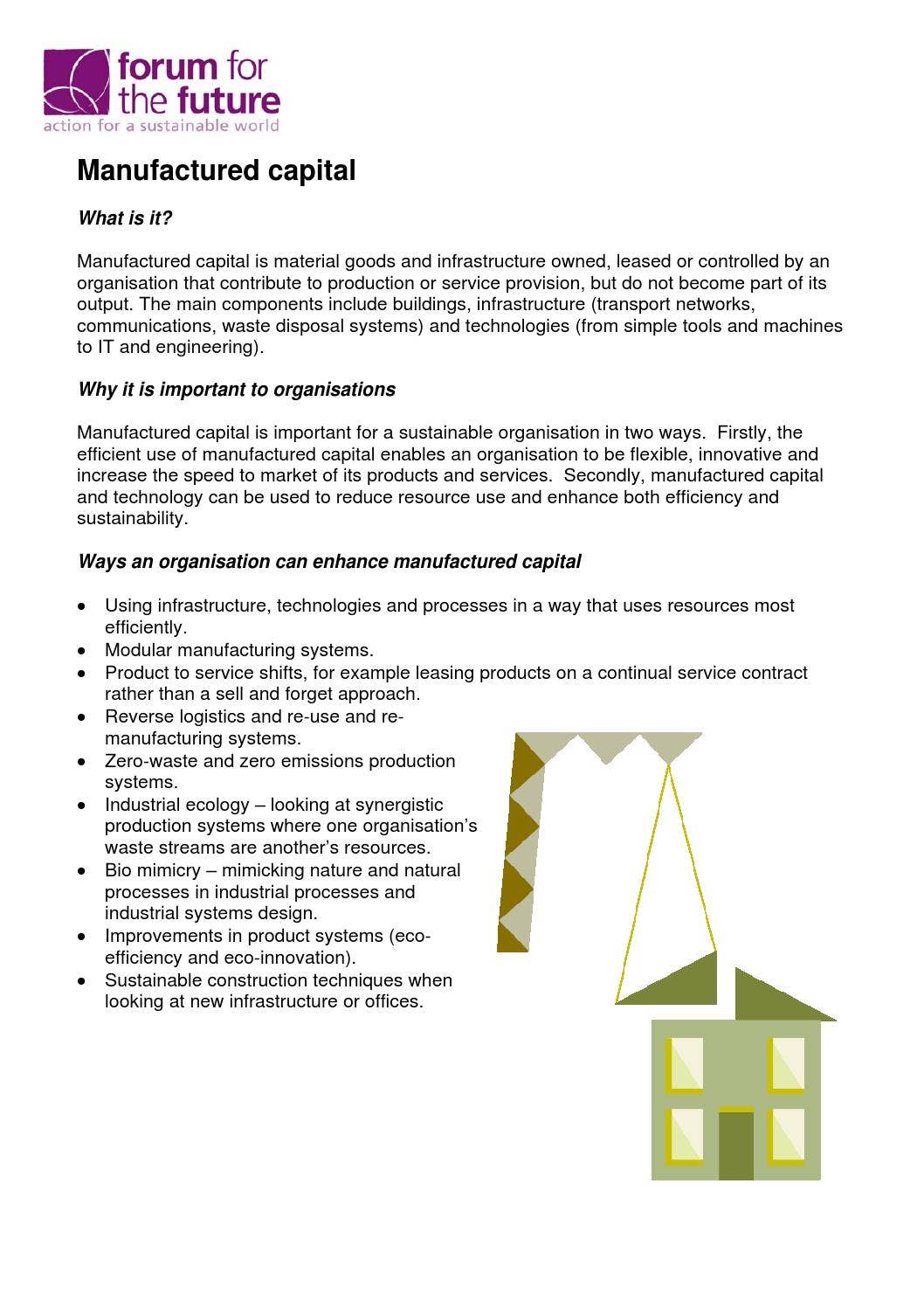 Five capitals model by Alois Clemens - Issuu
