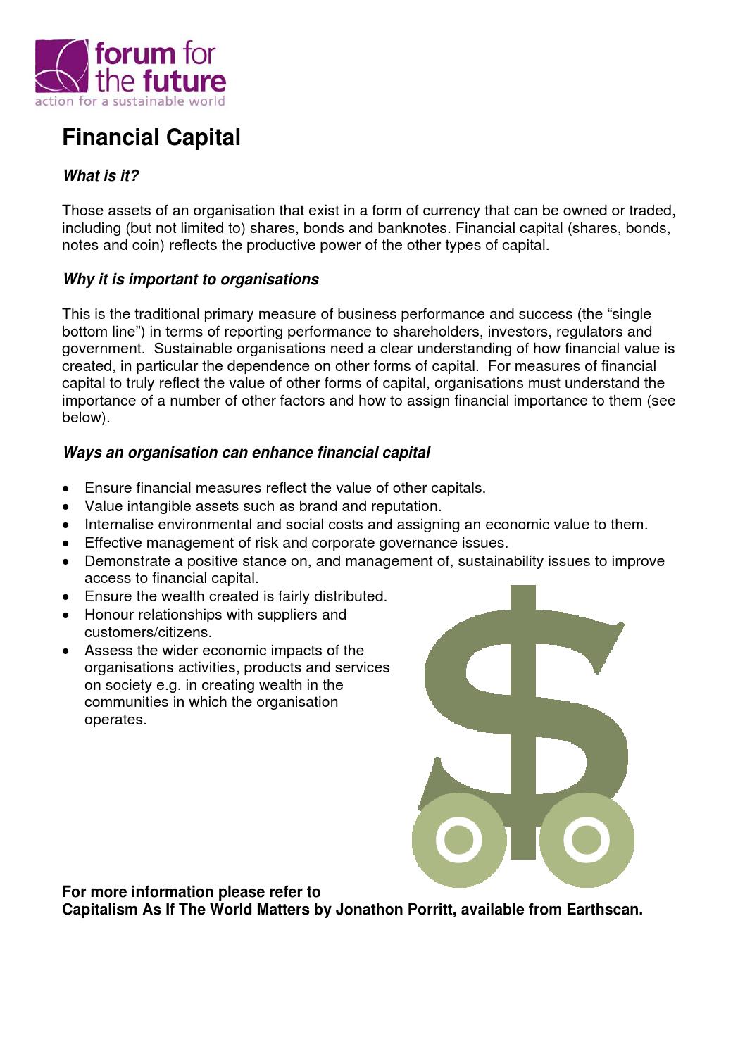 Five capitals model by Alois Clemens - Issuu