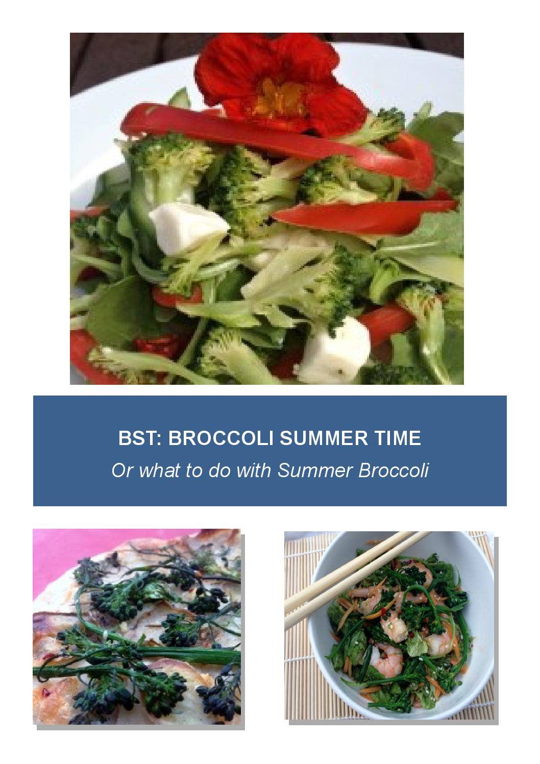 Broccoli blog recipe sheet by Mike Small - Issuu