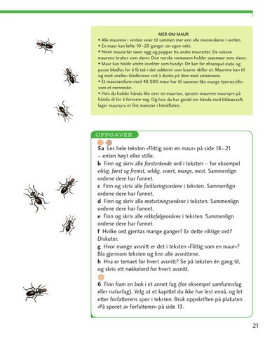 Zeppelin 7 språkbok BM by Aschehoug - Issuu