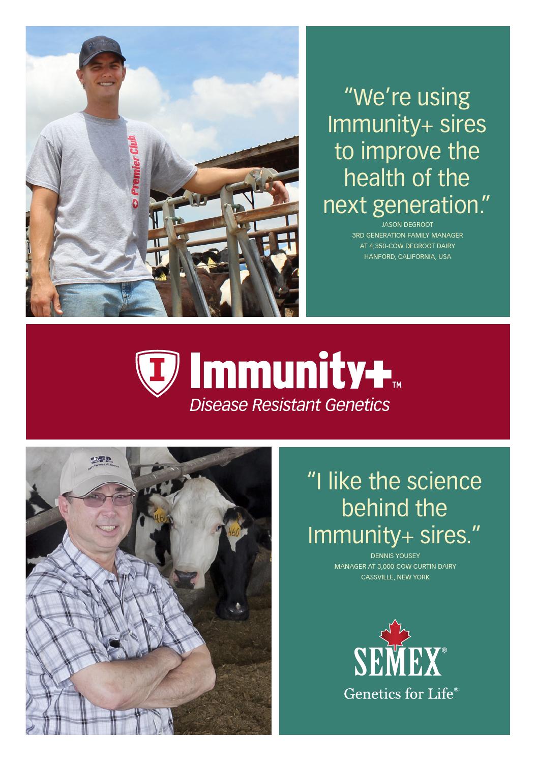August 2013 Semex USA Holstein Immunity+ by Semex - Issuu