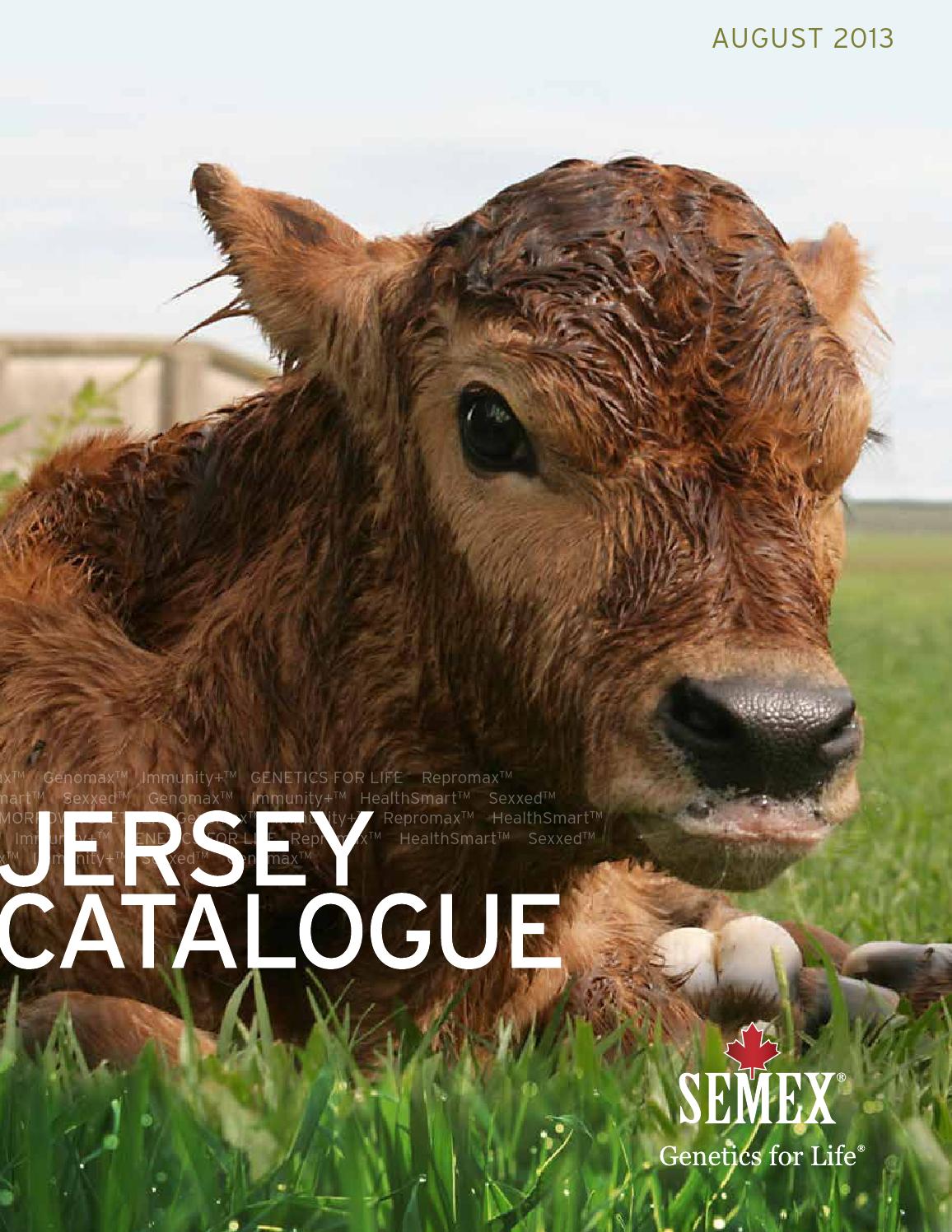 Semex August 2013 International Jersey Catalogue by Semex - Issuu