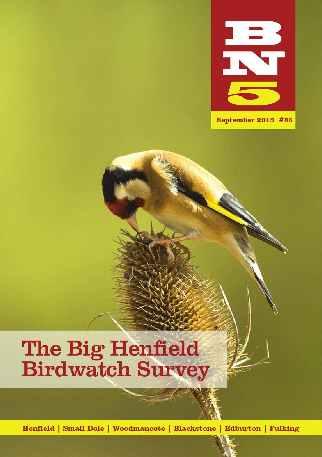 BN5 magazine September 2013 by BN5 magazine - Issuu