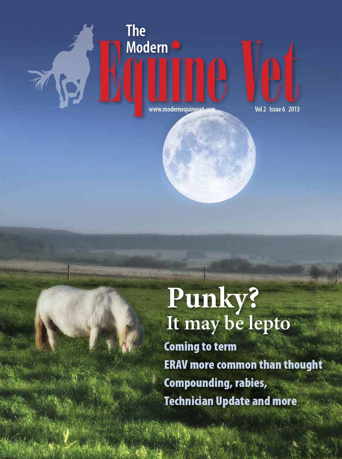 Modernequinevet vol2no6 by The Modern Equine Vet - Issuu
