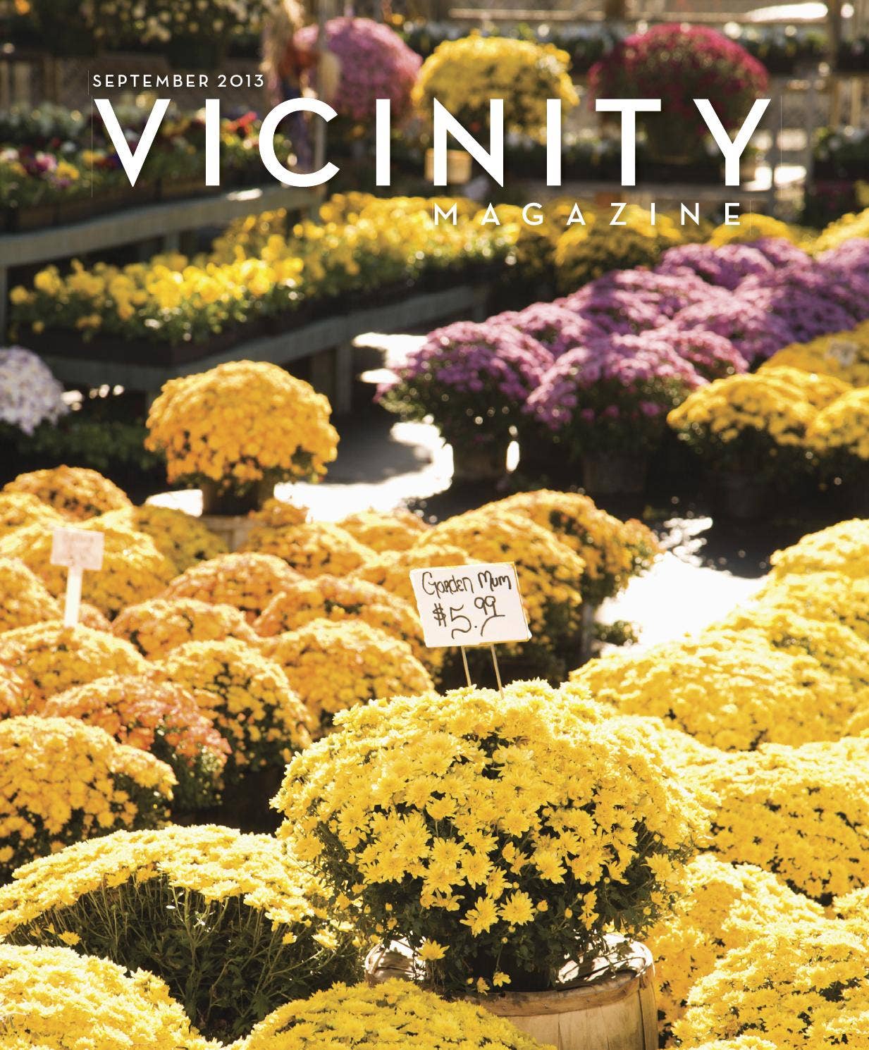 Vicinity Magazine by Vicinity Media Group - Issuu