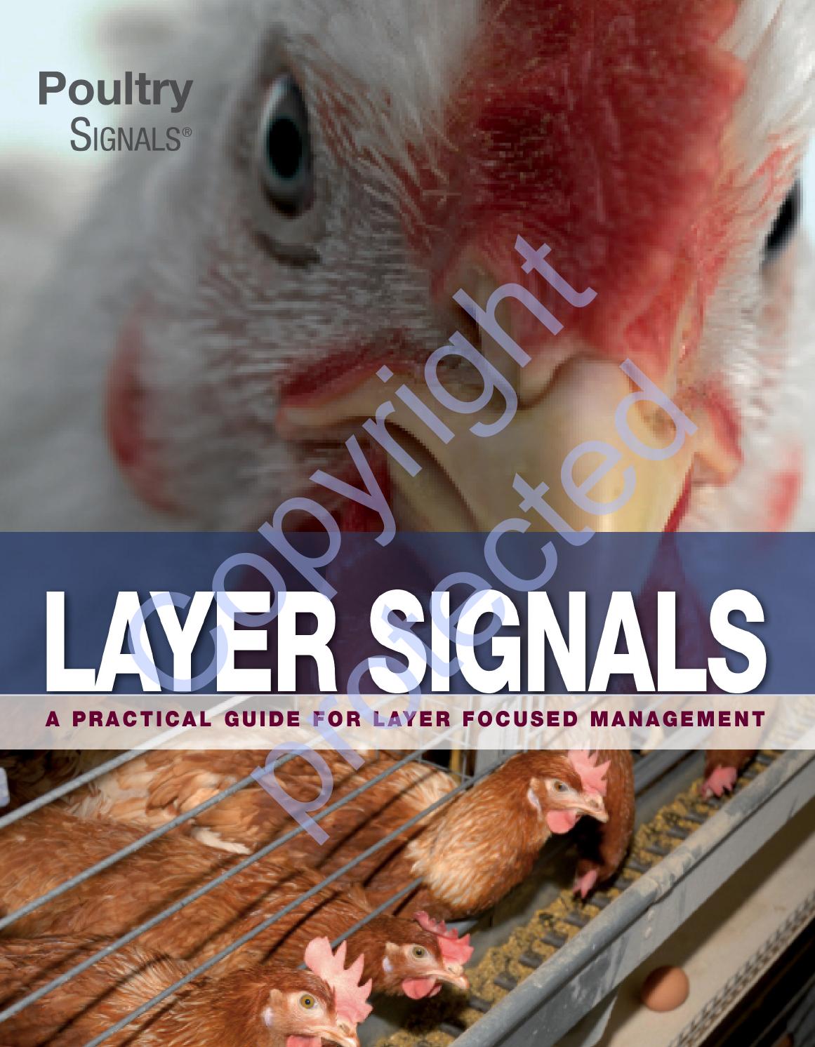 Layer Signals by Roodbont Publishers - Issuu