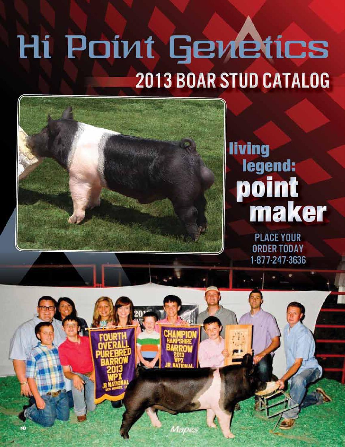 Hi Point Genetics - 2013 Boar Stud Catalog by Novel Designs - Issuu