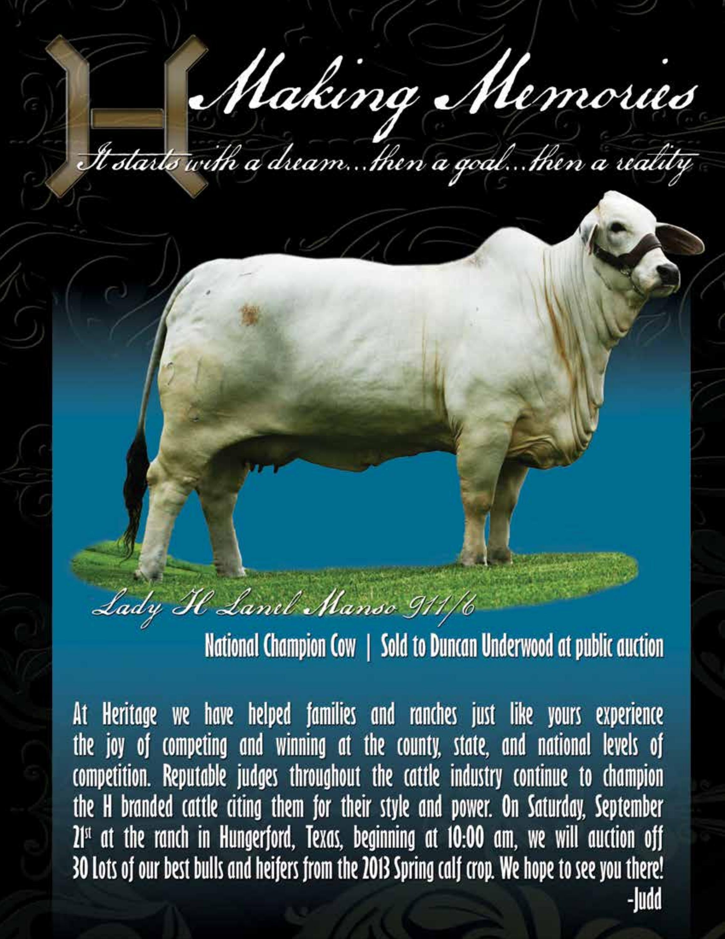 Heritage Cattle Co. Show Heifer Sale by Cattle In Motion, LLC - Issuu