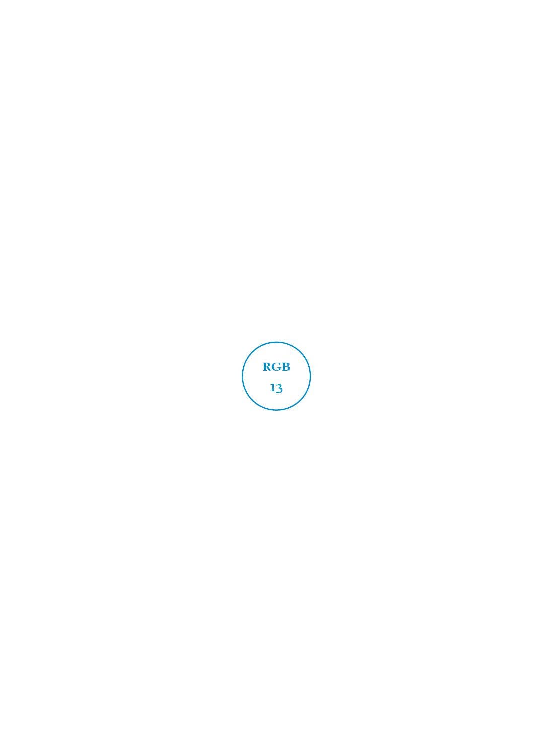 RGB13: RISD Graduate Studies Annual 2013 by Rhode Island School of ...