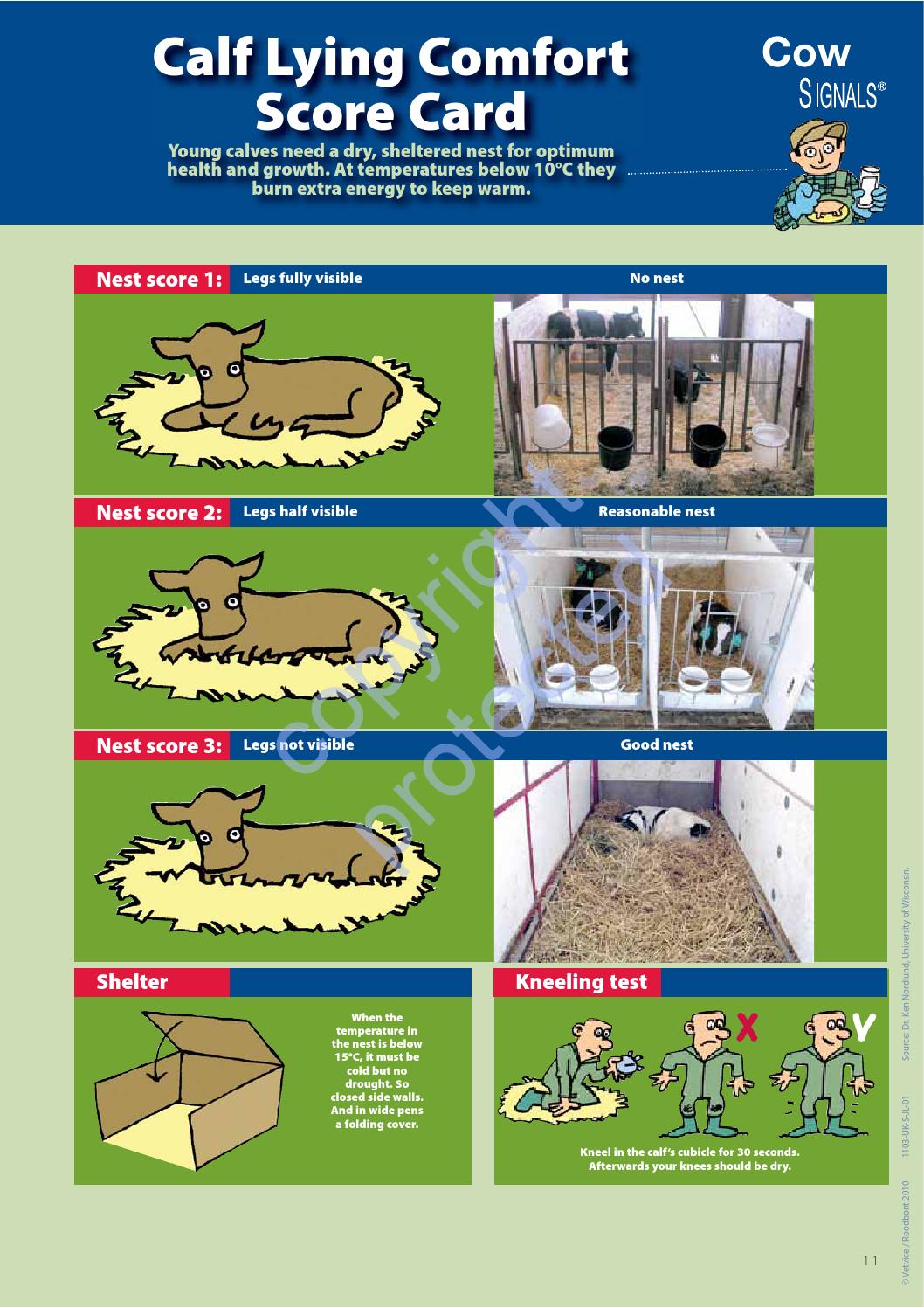 Cow signals checkbook - English edition by Roodbont Publishers - Issuu