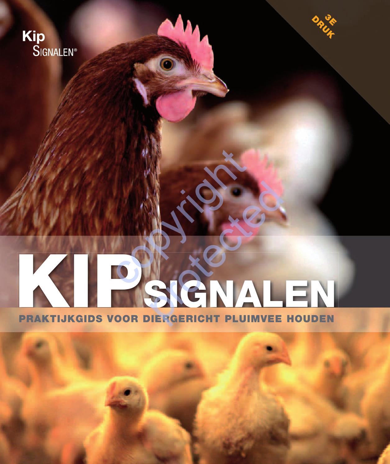 Poultry signals - Dutch edition by Roodbont Publishers - Issuu
