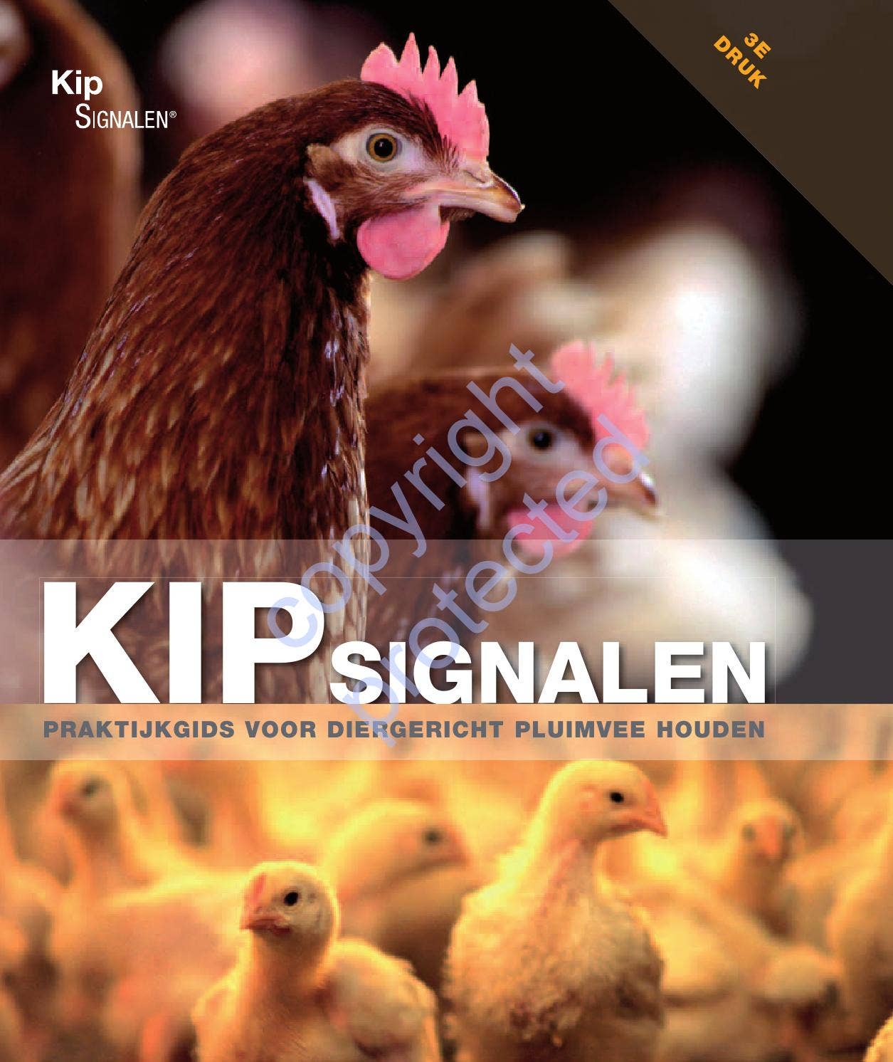 Poultry signals - Dutch edition by Roodbont Publishers - Issuu