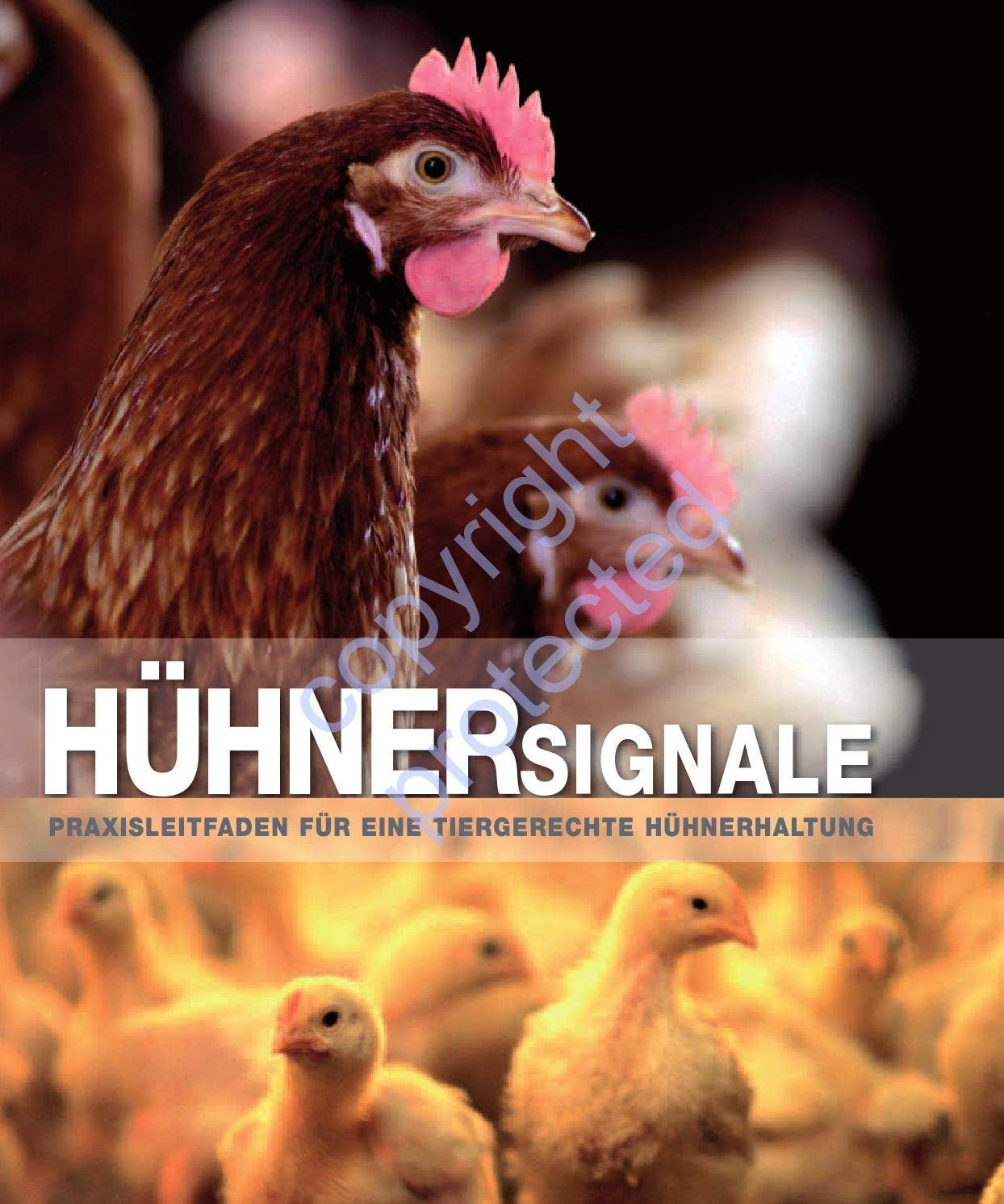 Poultry signals - German edition by Roodbont Publishers - Issuu