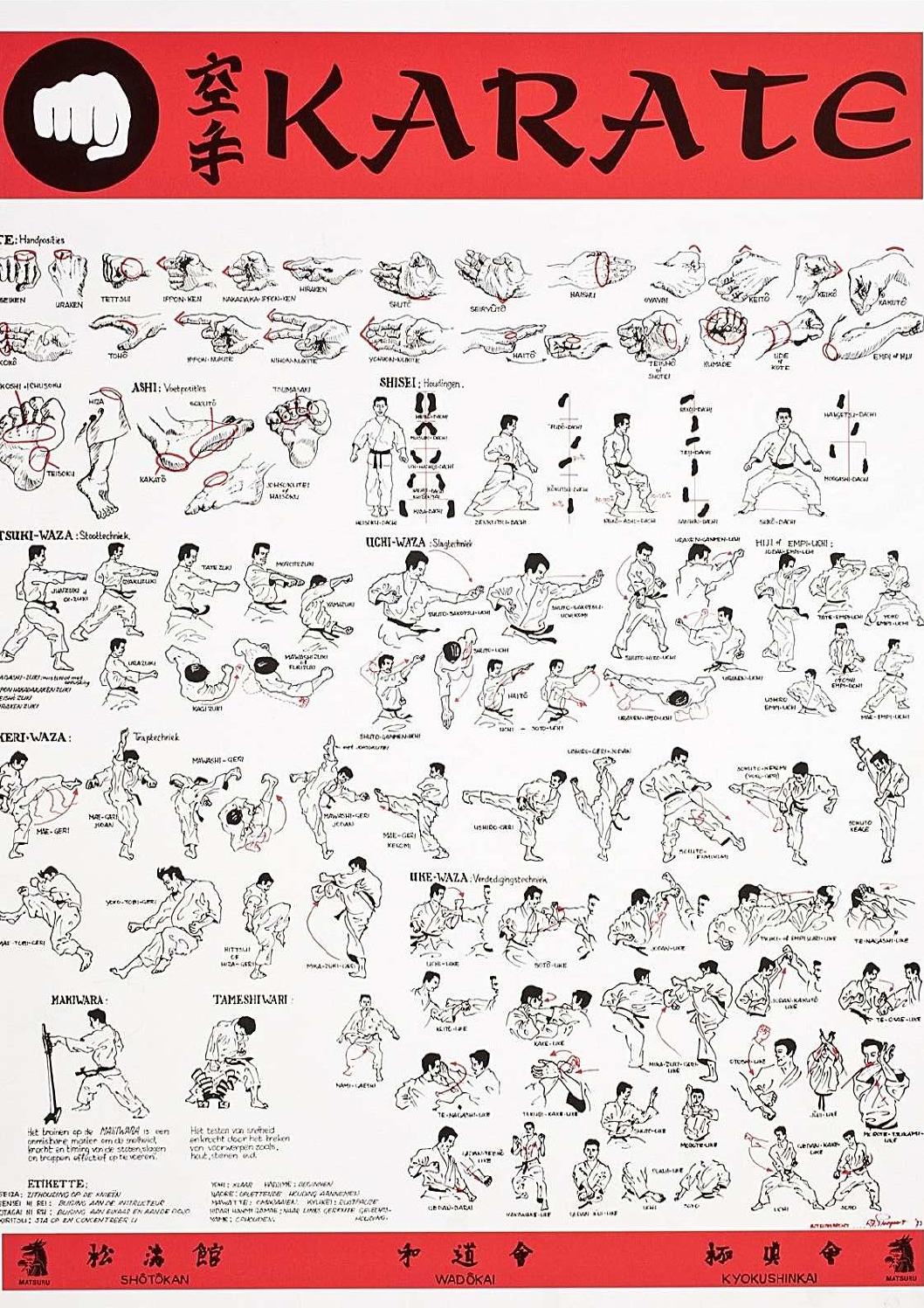 Planche Karate By Frederic JUGE Issuu