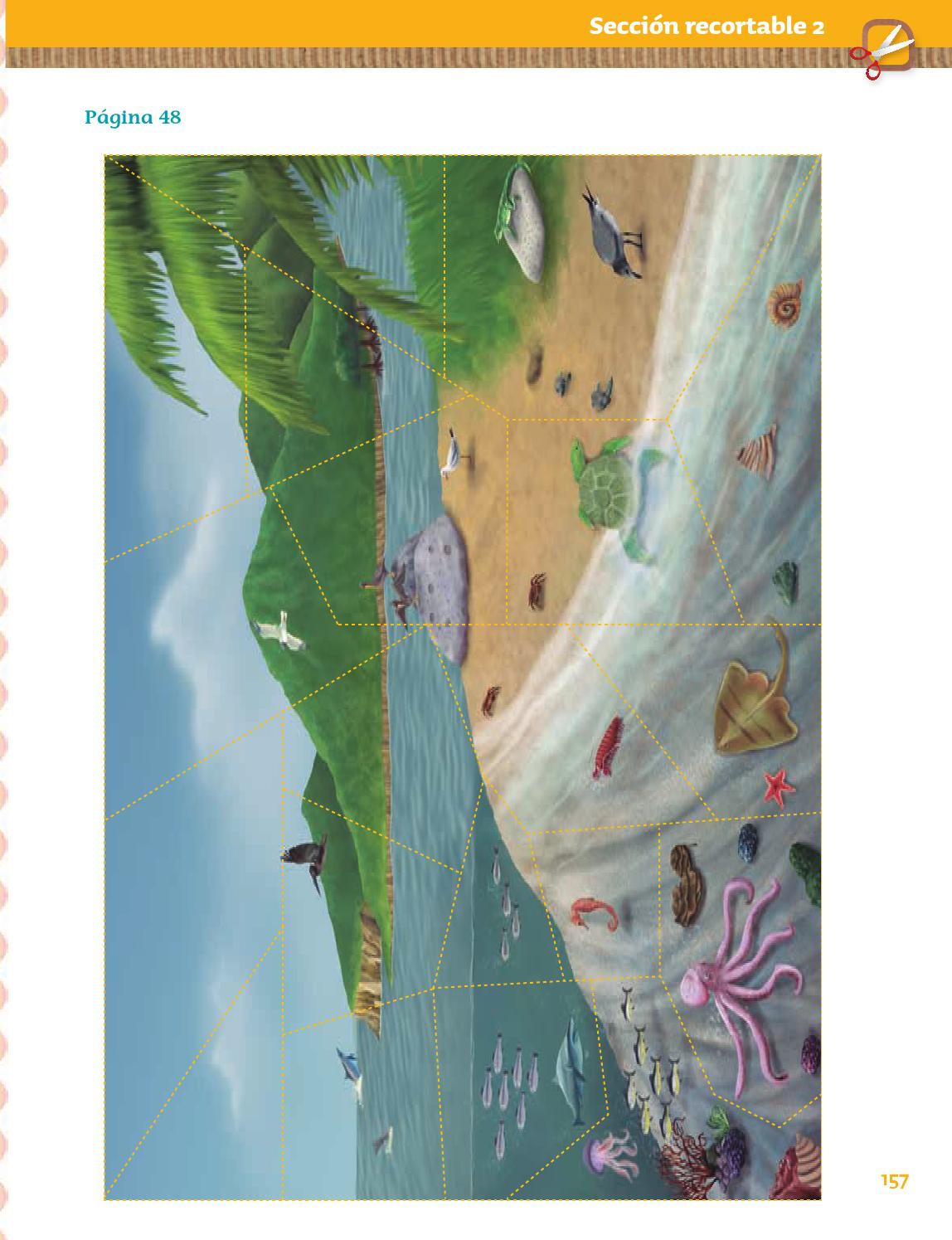 Exploración de la Naturaleza y la Sociedad 2o. Grado by Rarámuri - Issuu