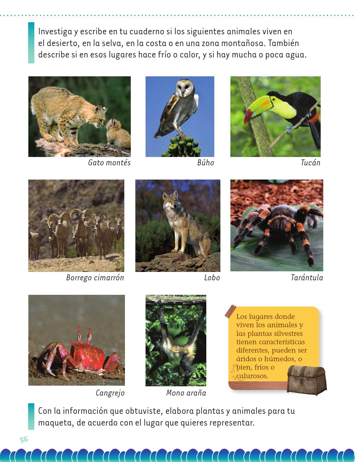 Exploración de la Naturaleza y la Sociedad 2o. Grado by Rarámuri - Issuu