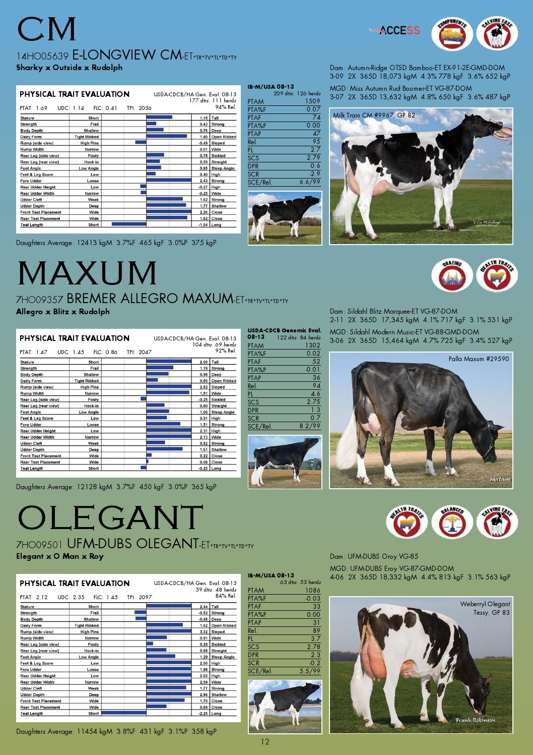 Holstein Nº Enreg: ESPM9203812180 KOEPON HUSKY BLF