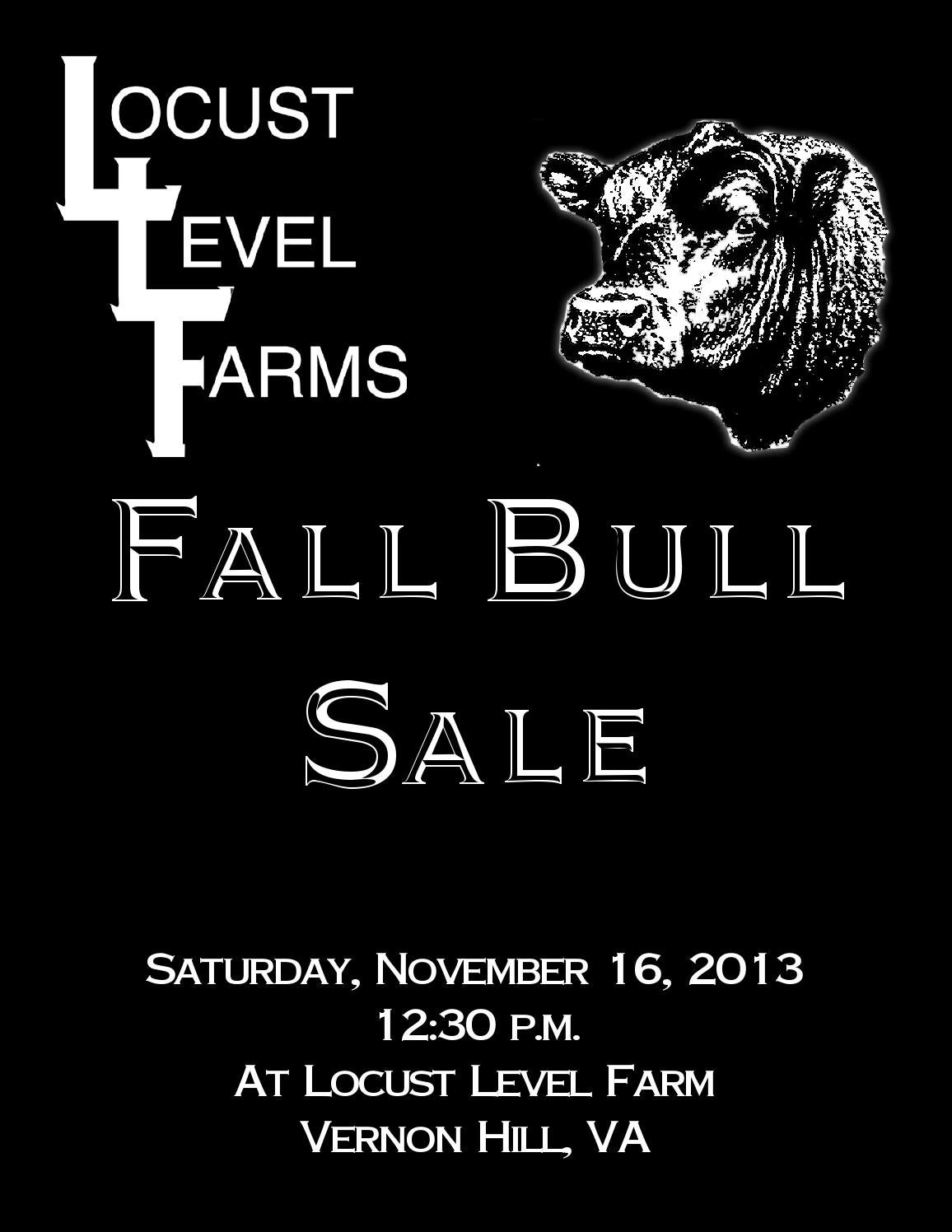 Locust Level Farm Fall 2013 Bull Catalog by Black Locust Livestock - Issuu