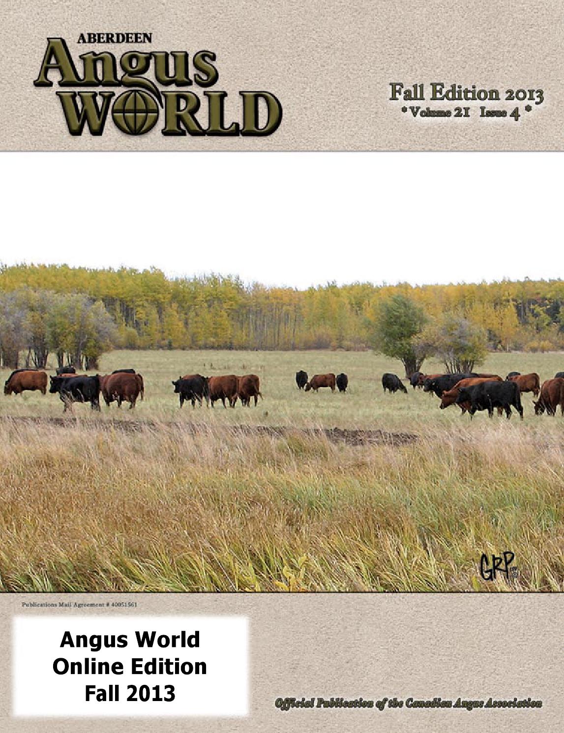 Angus World Fall 2013 Volume 21 Issue 4 by Everything Angus - Issuu