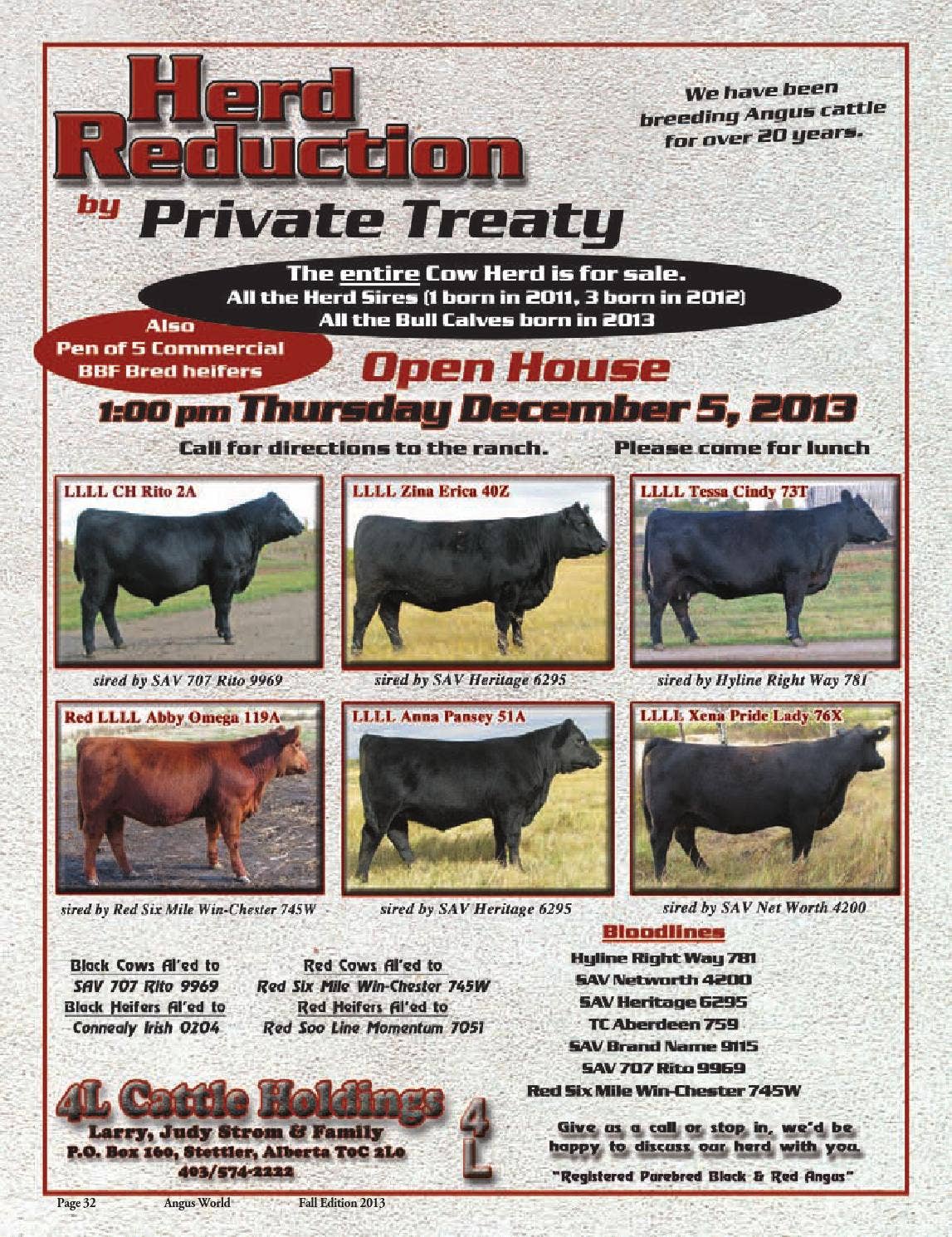 Angus World Fall 2013 Volume 21 Issue 4 by Everything Angus - Issuu