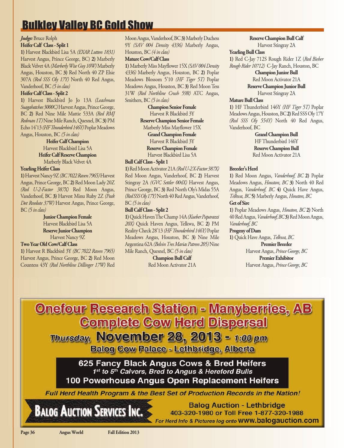 Angus World Fall 2013 Volume 21 Issue 4 by Everything Angus - Issuu