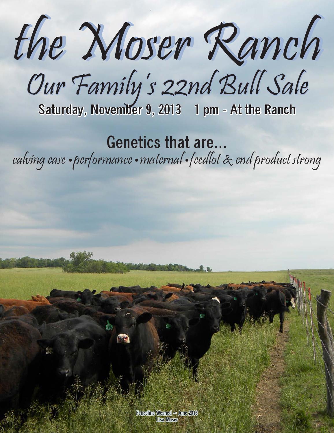 The Moser Ranch - 22nd Annual Bull Sale by LivestockDirect - Issuu