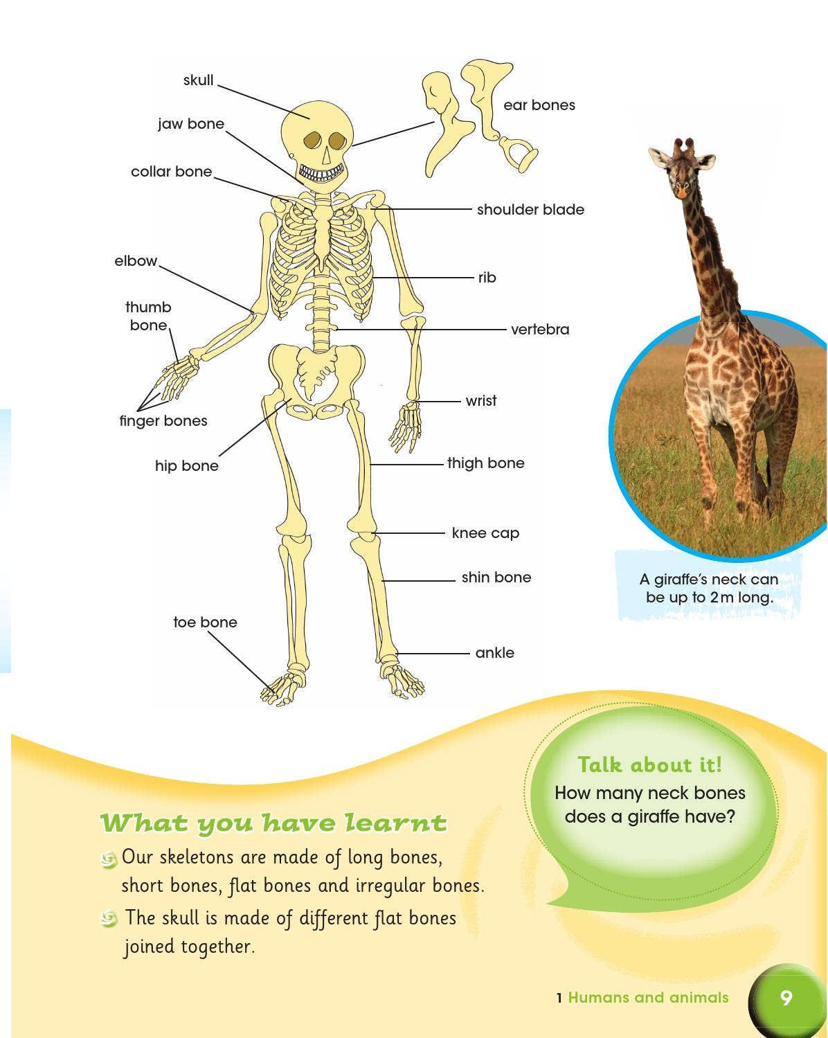 Cambridge Primary Science Learner's Book Stage 4 by Cambridge ...
