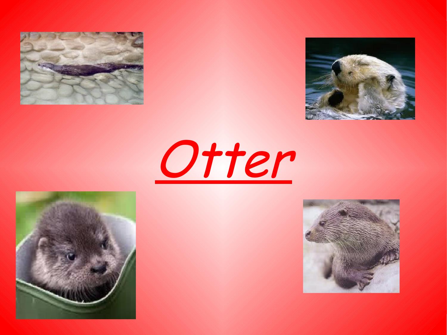 Mathilde otter by Maria panou - Issuu