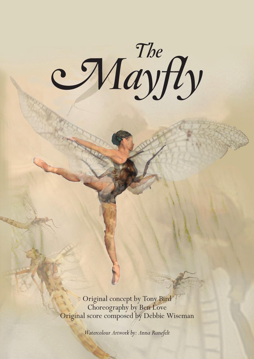 Mayfly digital brochure by Edge Design Ltd - Issuu
