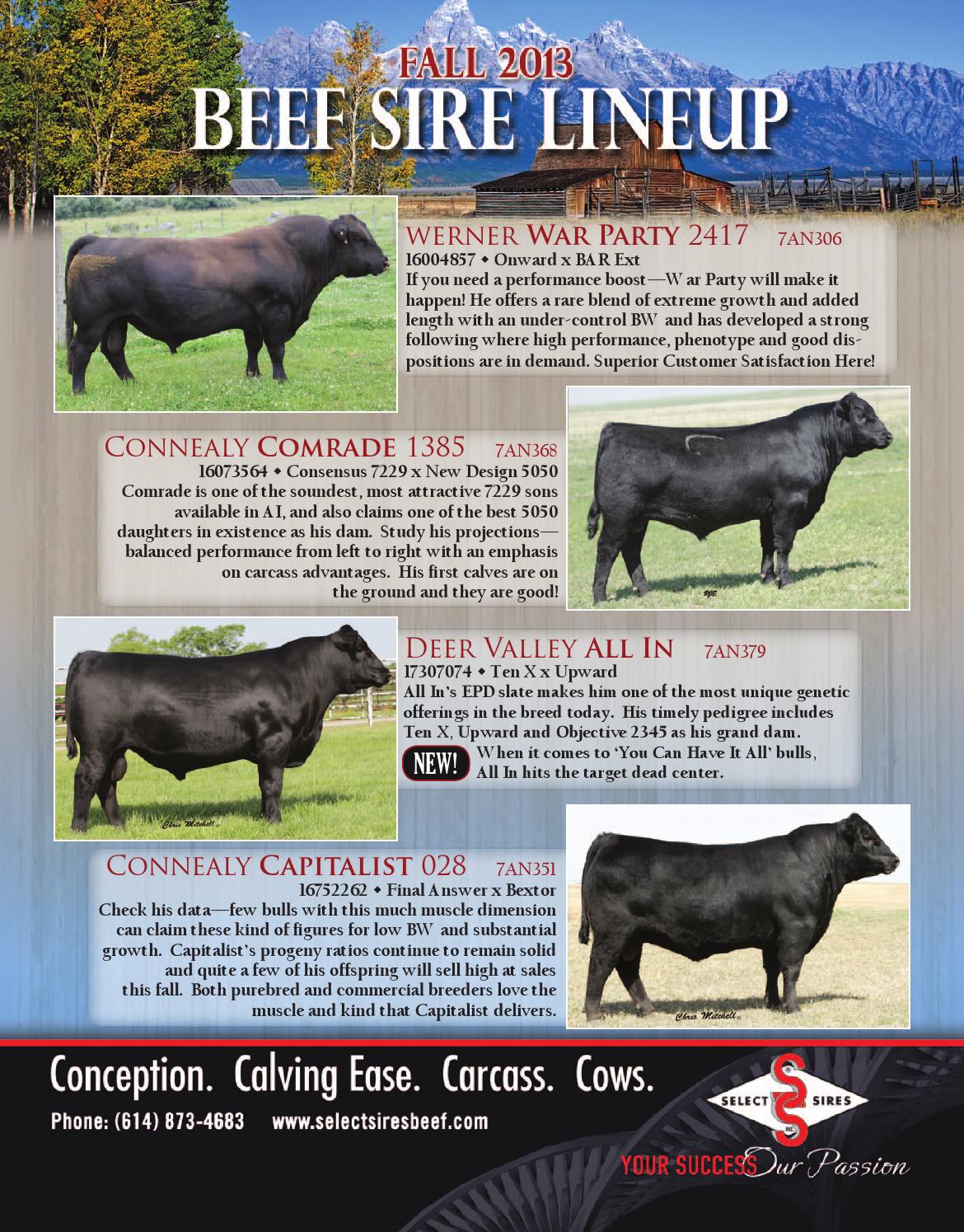 2013 Fall Beef Flyer by Kim West - Issuu