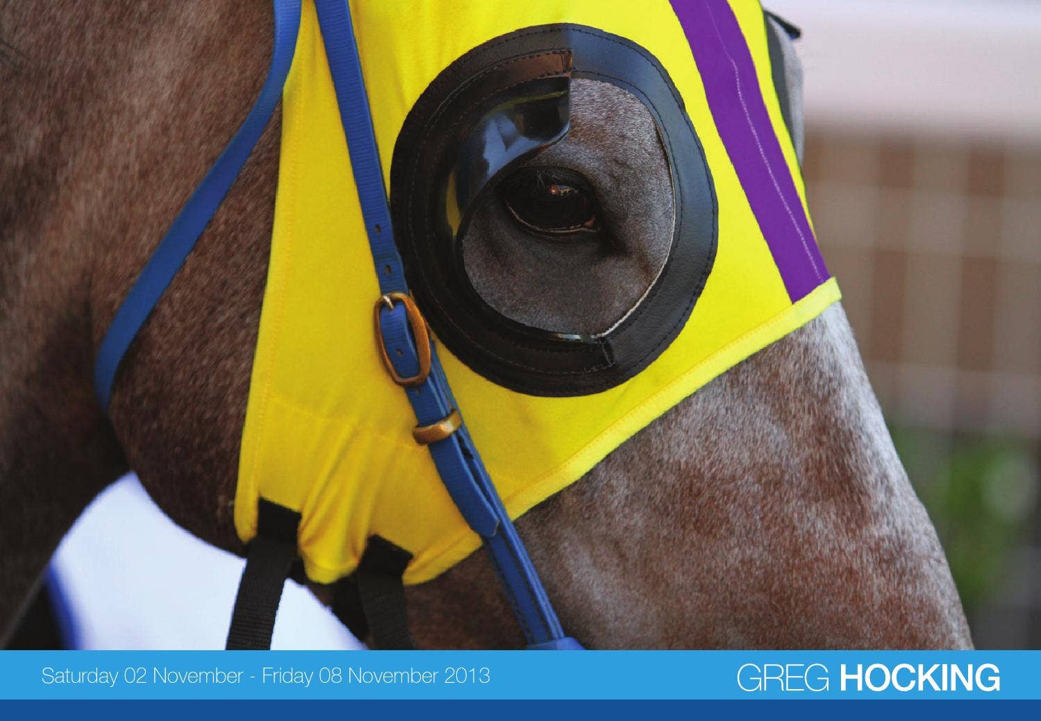 Greg Hocking Magazine 2 November 2013 by remagazines - Issuu