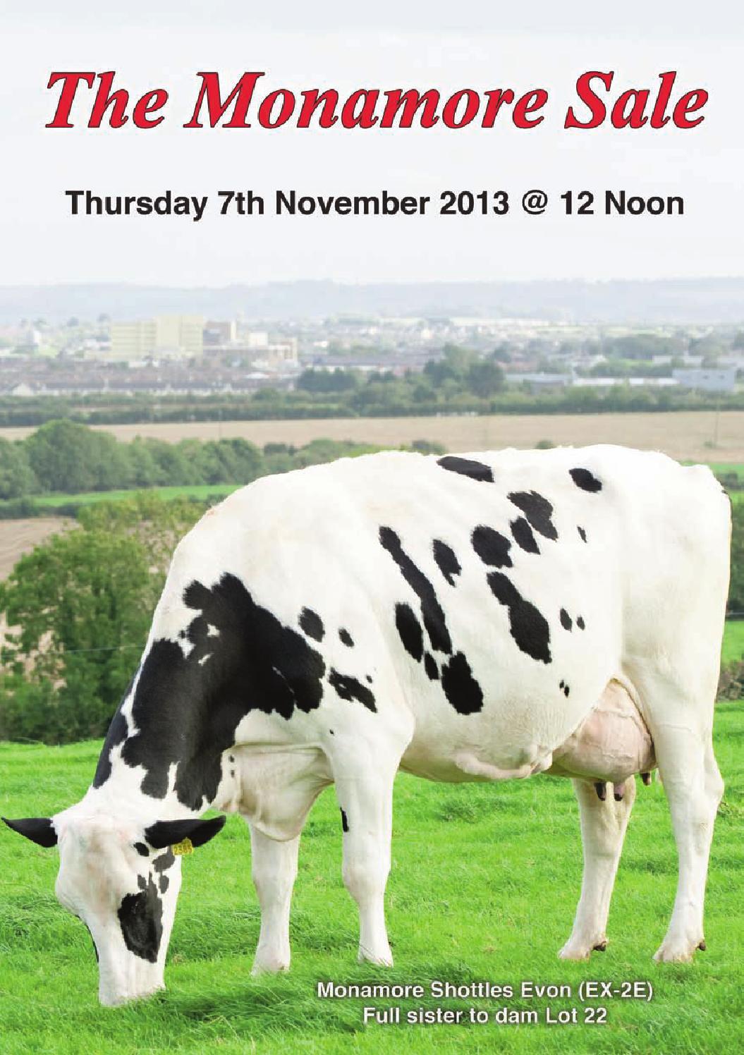 THE MONAMORE SALE by TAAFFE AUCTIONS LTD - Issuu