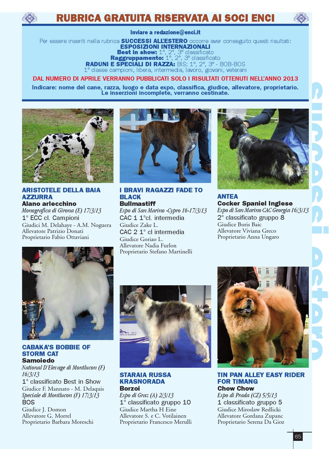 ENCI - I Nostri Cani giugno 2013 by ENCI - Ente Nazionale Cinofilia ...