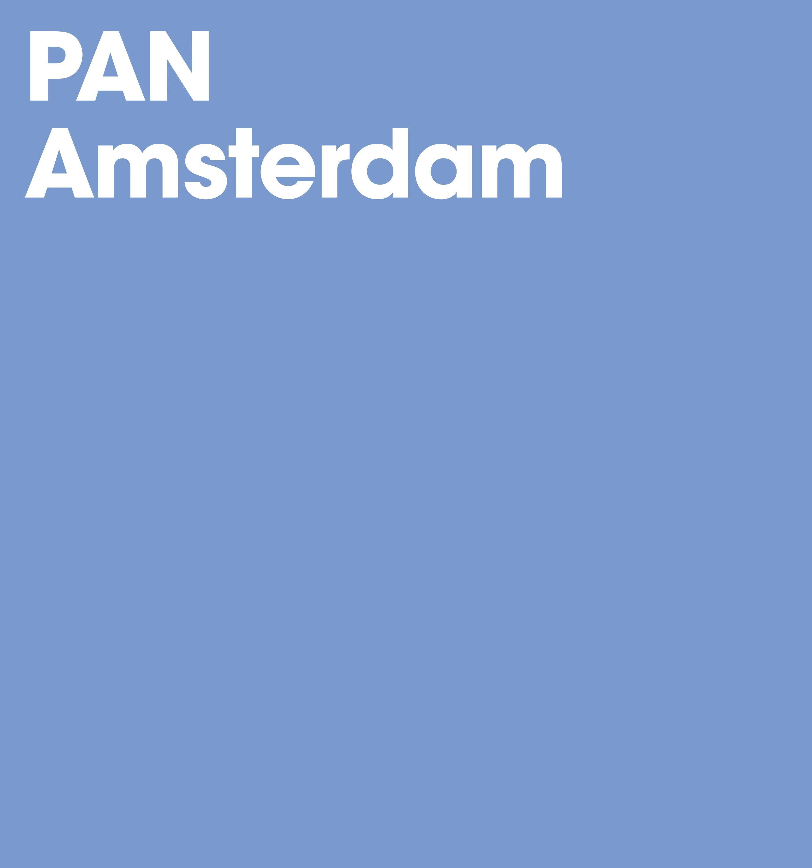 PAN AMSTERDAM 2013 by Masterart - Issuu