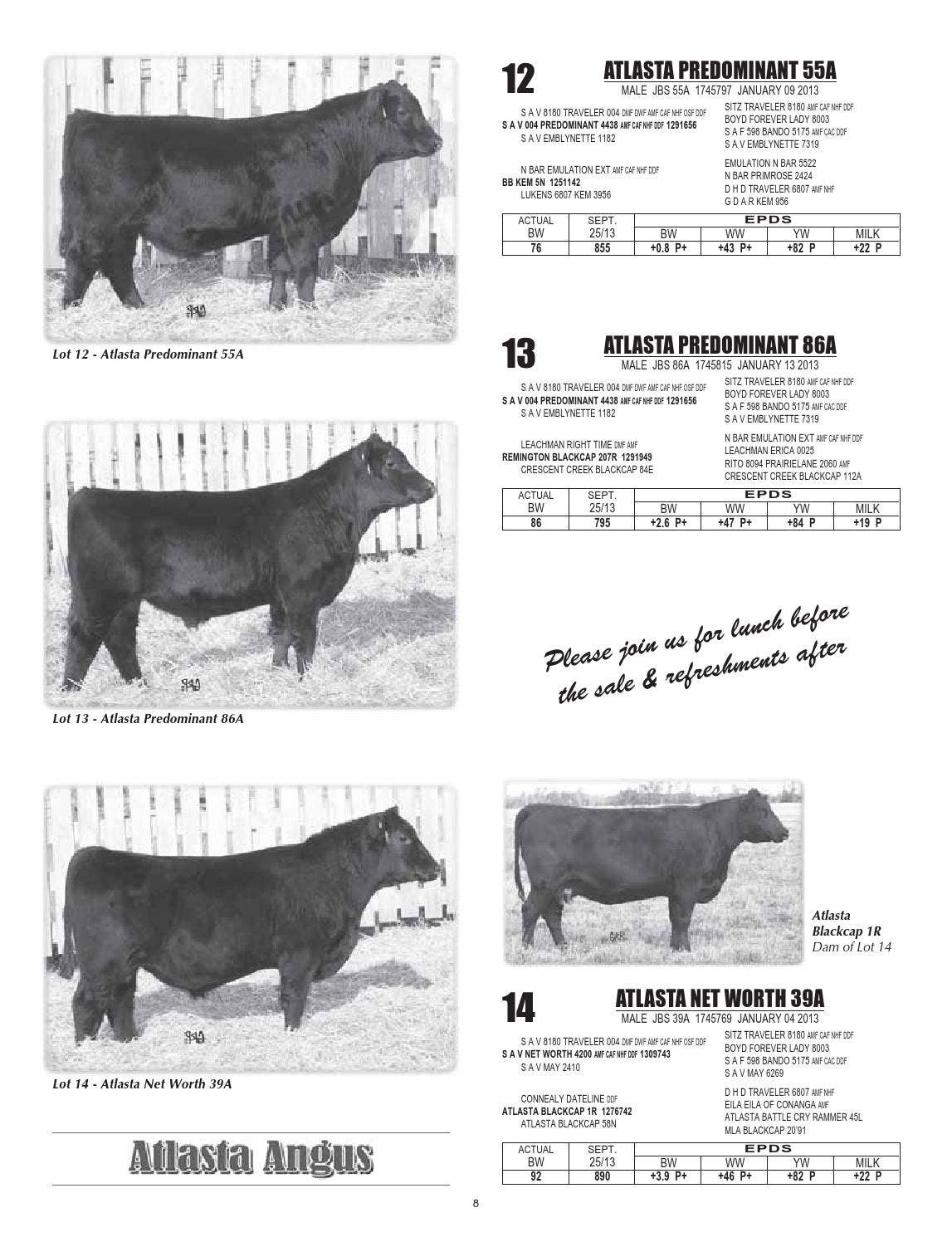 Atlasta Angus Bull & Seriously Black Female Sale 2013 by Everything ...
